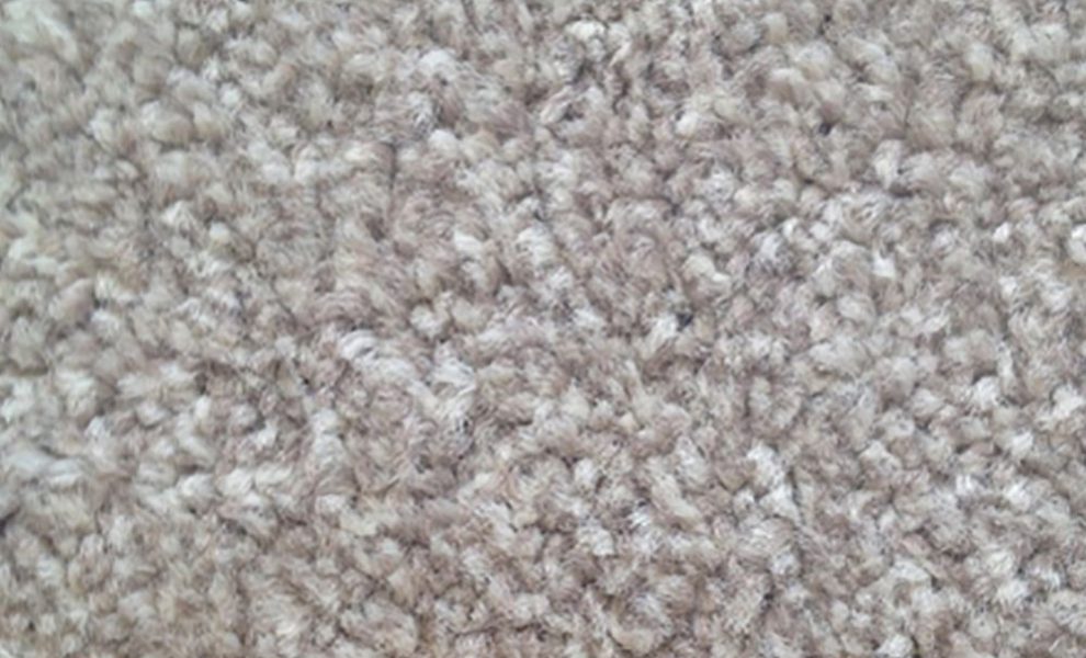 Carpets | Harrhy Carpets